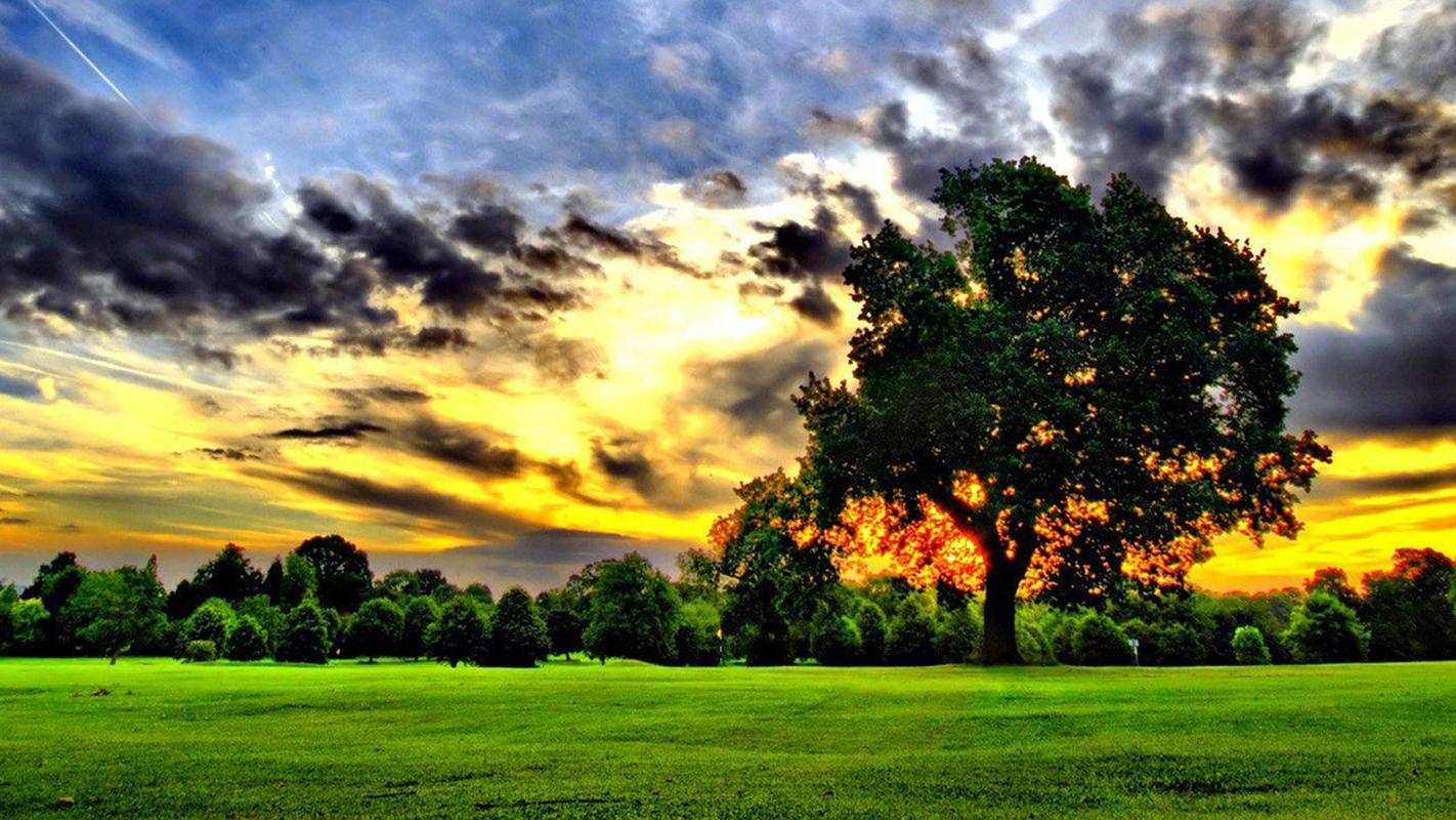 Understanding the Fundamental Principles of Counter Intelligence ...