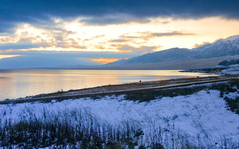 The Ultimate Guide to Understanding What is Furry Culture - Knowledge ...