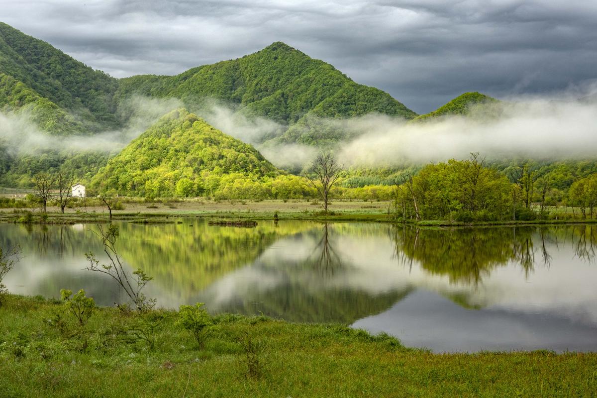 Understanding The Generator Capability Curve A Beginners Guide Knowledge And Science