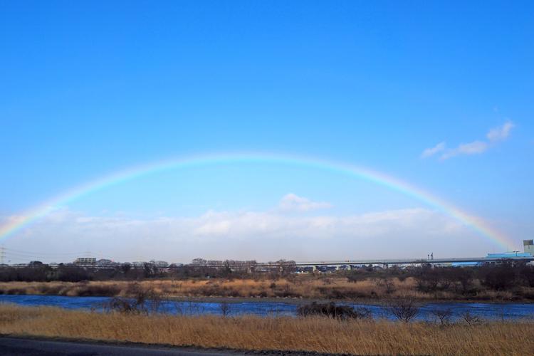 Understanding Ideal Culture in Sociology: Definition and Examples ...