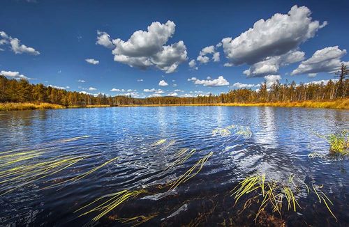 Exploring the Key Differences Between Cognition and Memory - Knowledge ...