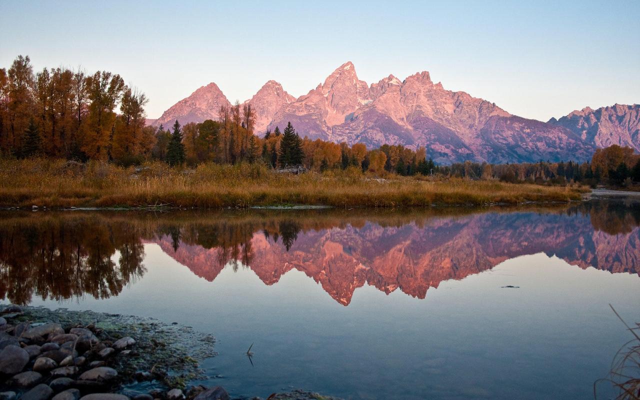 Understanding the Proficiency Bonus 5E Chart: A Complete Guide for ...