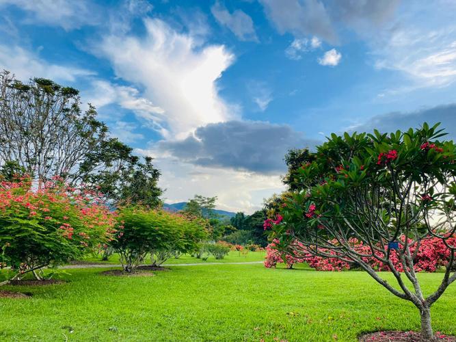 Top 10 Ucas Personal Statement Examples To Draw Inspiration From