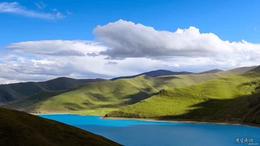 Unlocking the Meaning Behind "Intelligence is the Torch of Wisdom ...