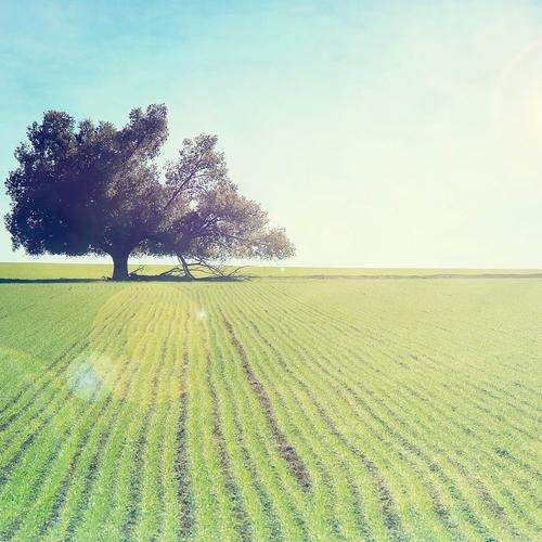 Virtual Reality Vs Augmented Reality What S The Difference